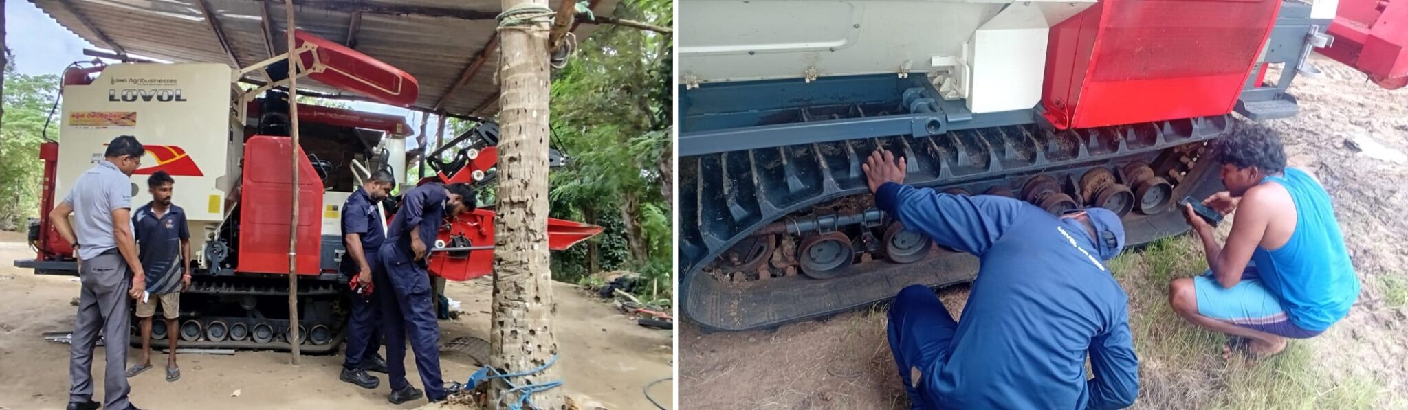 DIMO’s LOVOL Harvester – Sri Lanka’s Only Harvester with a Warranty on Rubber Tracks – 𝘽𝙞𝙯 𝙄𝙣𝙨𝙞𝙜𝙝𝙩𝙨